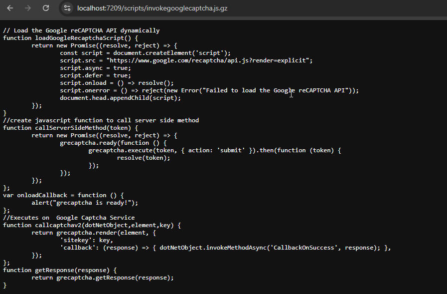 How do I fix static assets not showing on implementing project with .Net9 - Microsoft Q&A