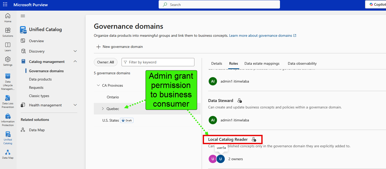 Purview Data Governance: Grant access to business consumers (regular ...