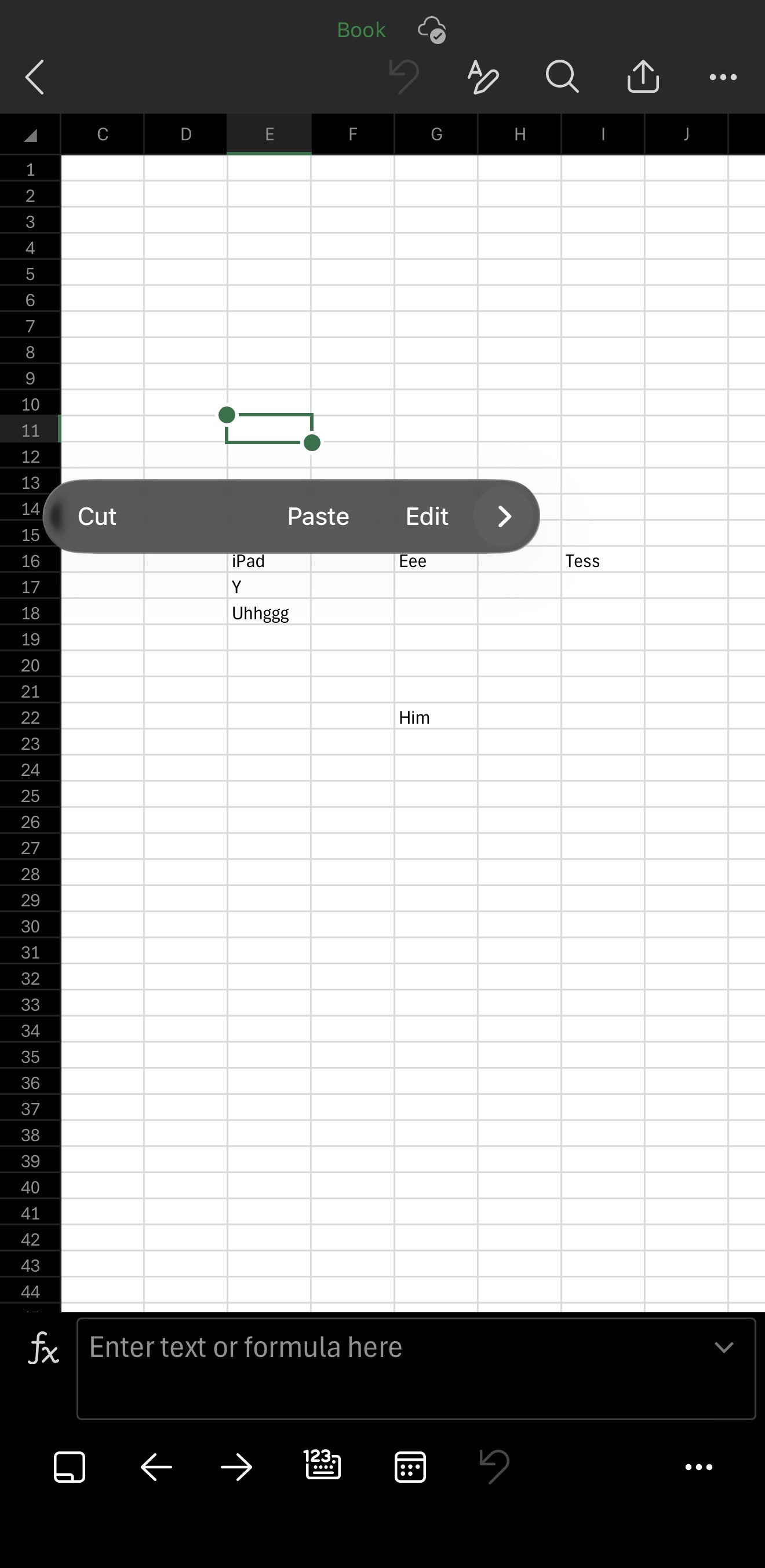 Excel copy button is invisible on iOS26 and iPadOS26 - Microsoft Q&A