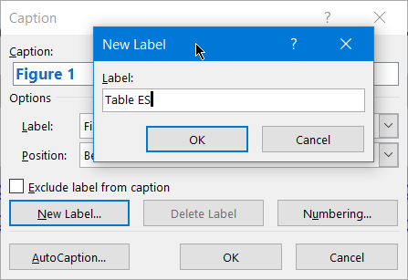 How to have different caption formats in one document in Word 365 ...