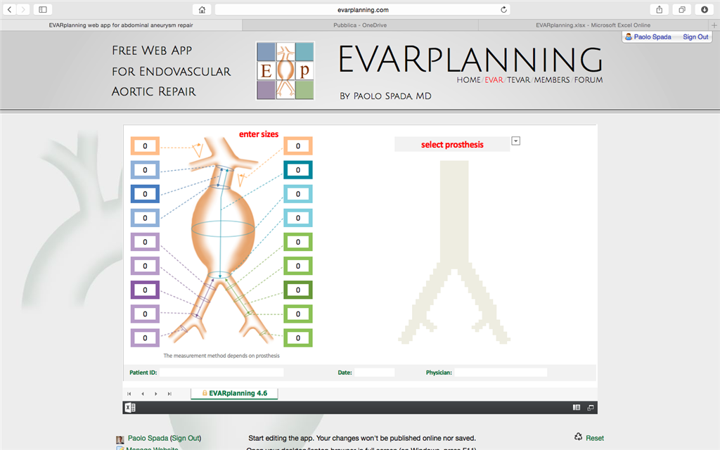 Why sometimes my Excel web app is not displayed correctly? - Microsoft Q&A