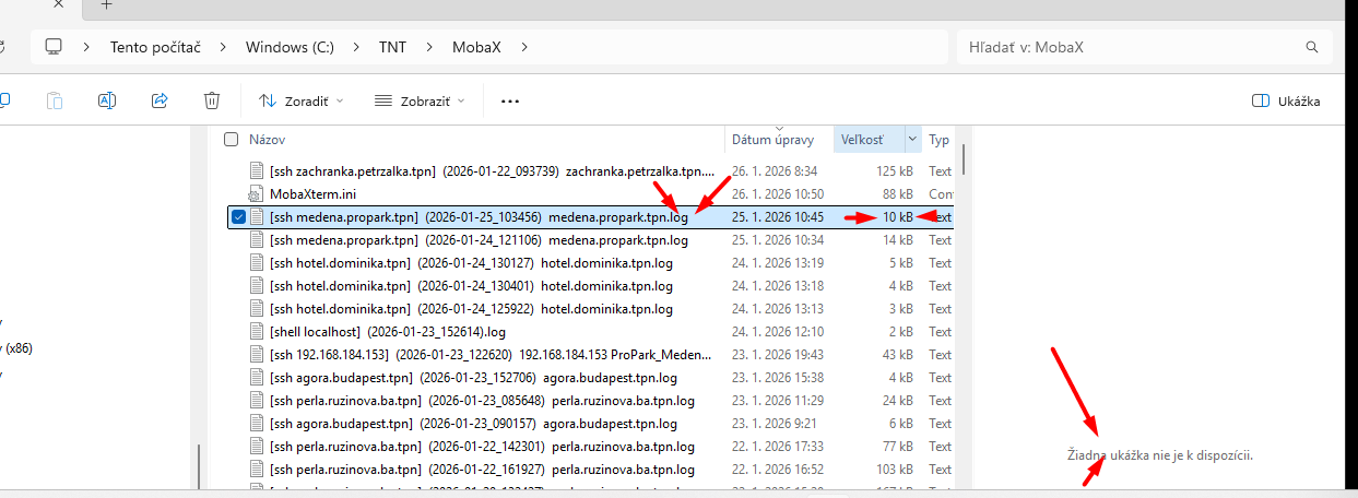 Preview Pan is not showing LOGS .. only TXT files, or jpeg .. why there ...