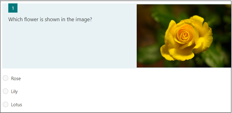 Image Upload in MS Forms - Microsoft Q&A