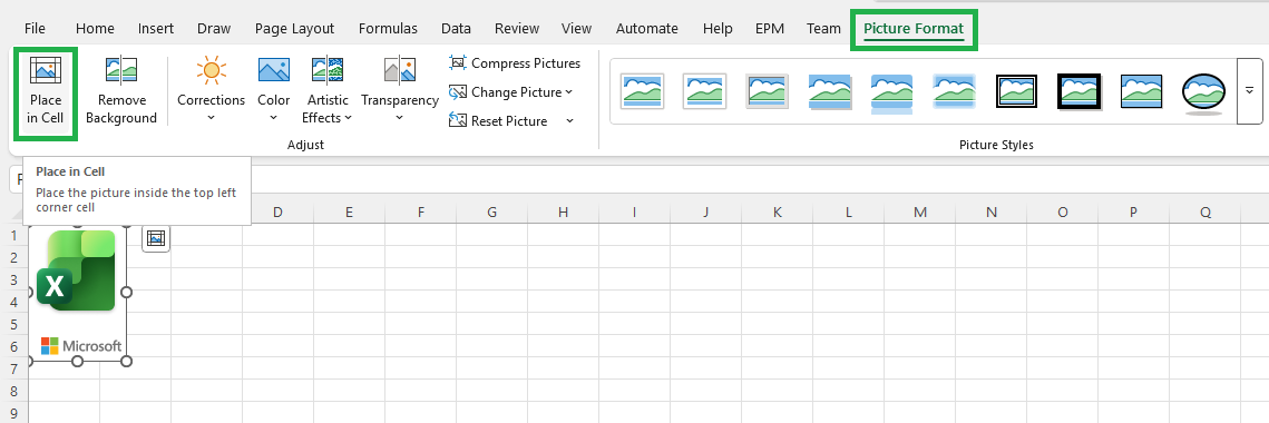 Excel Windows – “Place in Cell” paste option missing - Microsoft Q&A