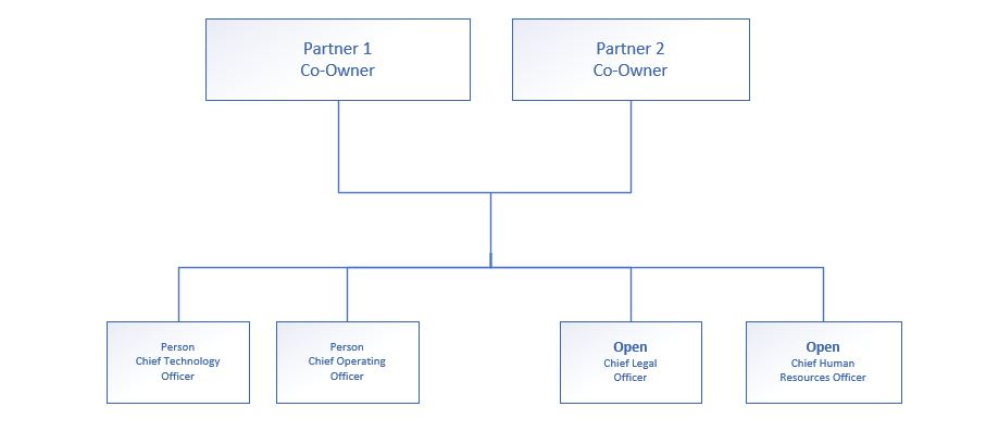 Two Co-Equal Partners at the top of Visio - Microsoft Q&A