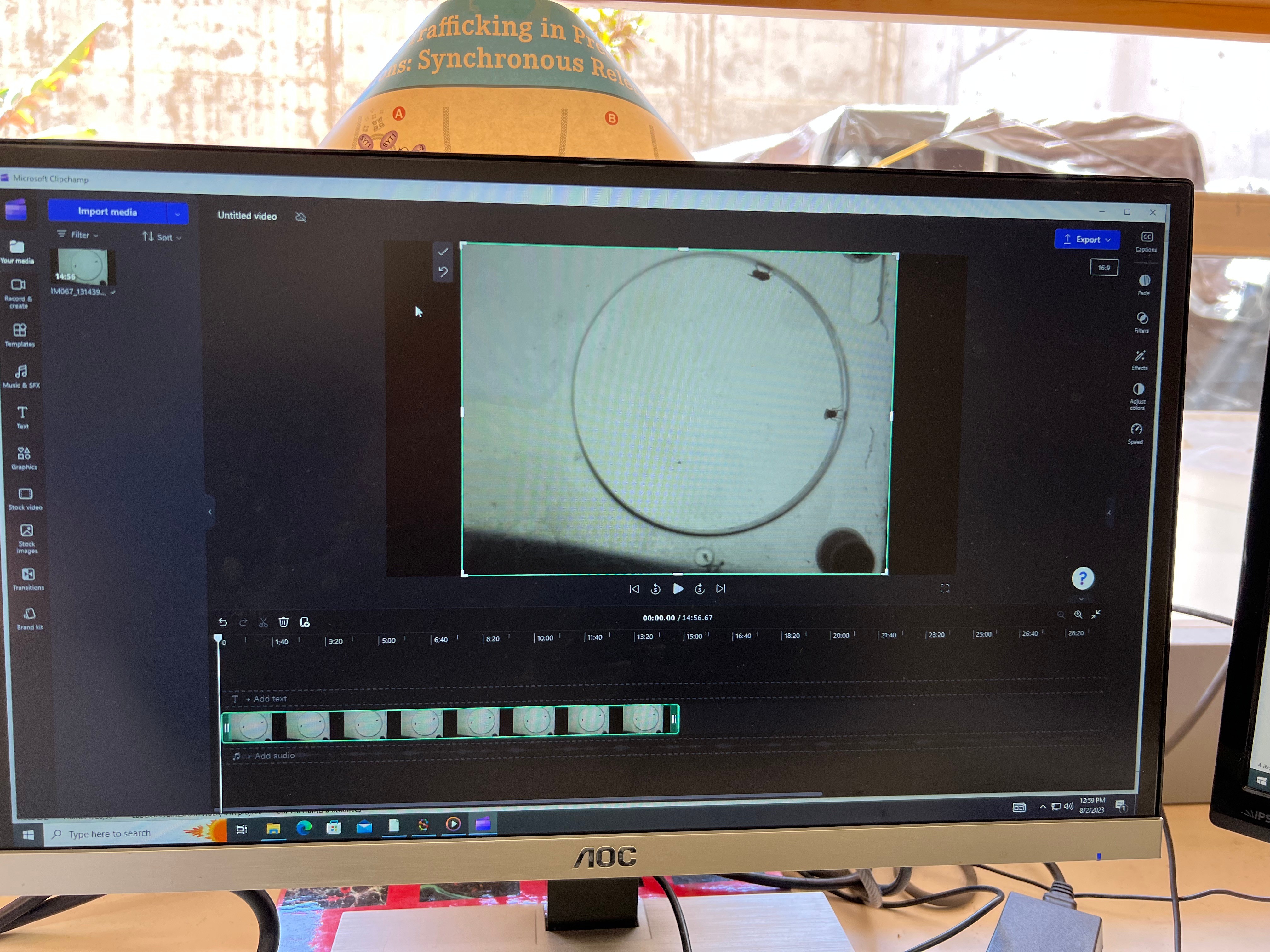 ClipChamp standardizing cropping - Microsoft Q&A