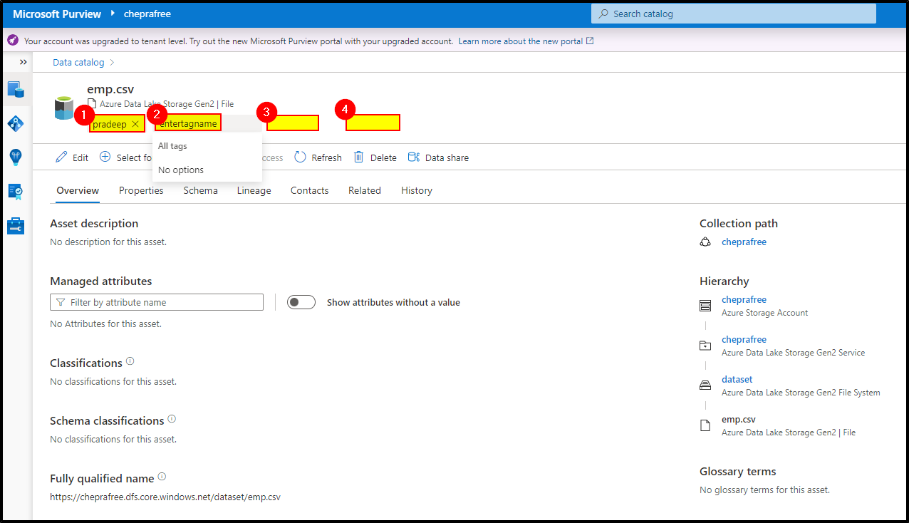 Microsoft Purview Filter Customization - Microsoft Q&A