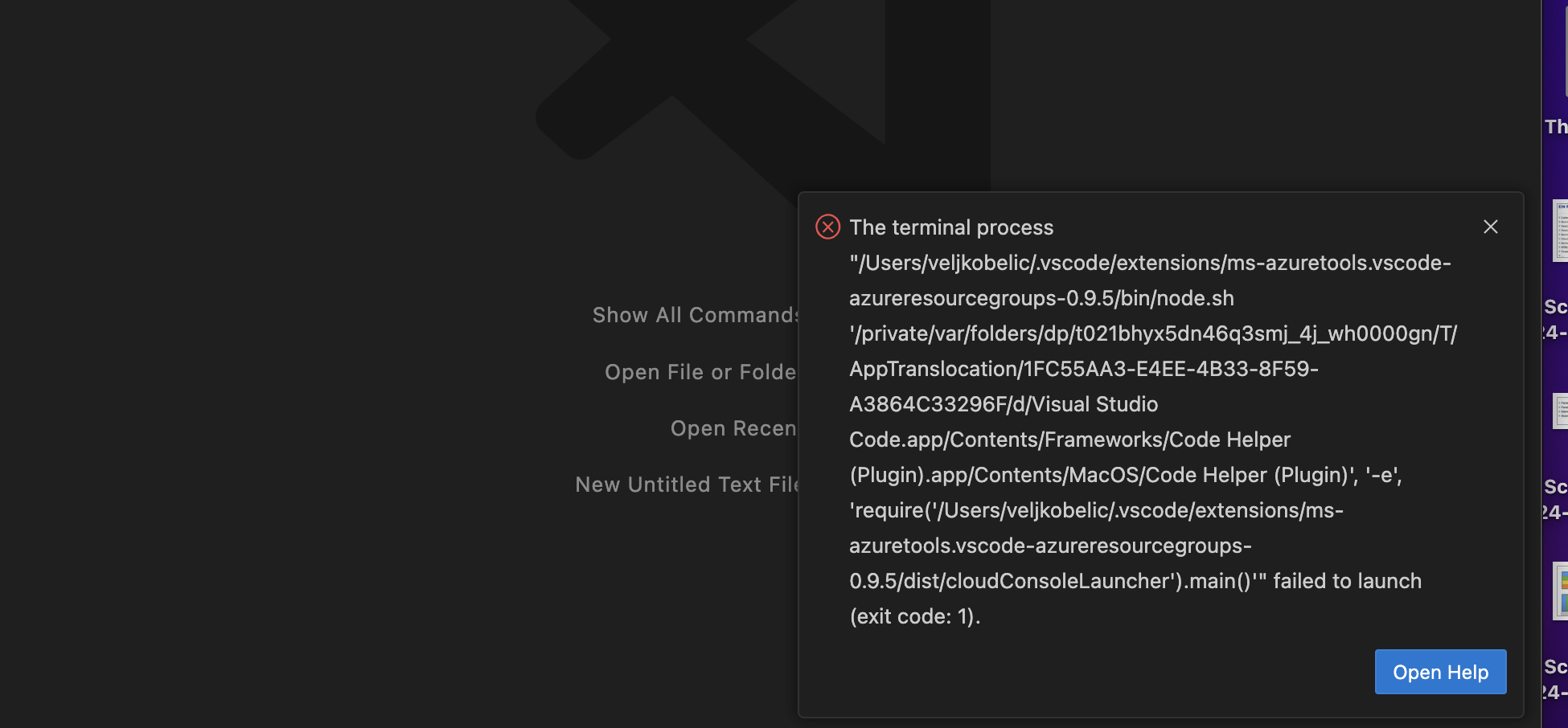 How do I create a flexible sql Server in my bash terminal? (Terminal ...