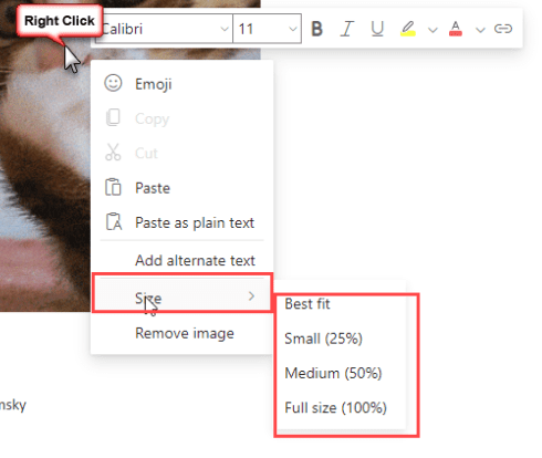 New Outlook: How to add border or set specific dimensions after ...