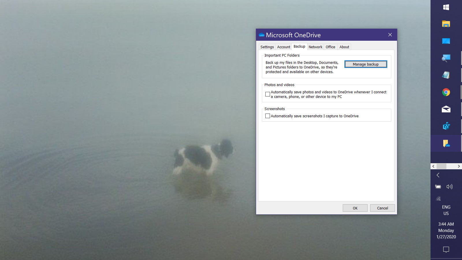 Multiple Documents, Pictures and Desktop Folder - Microsoft Q&A