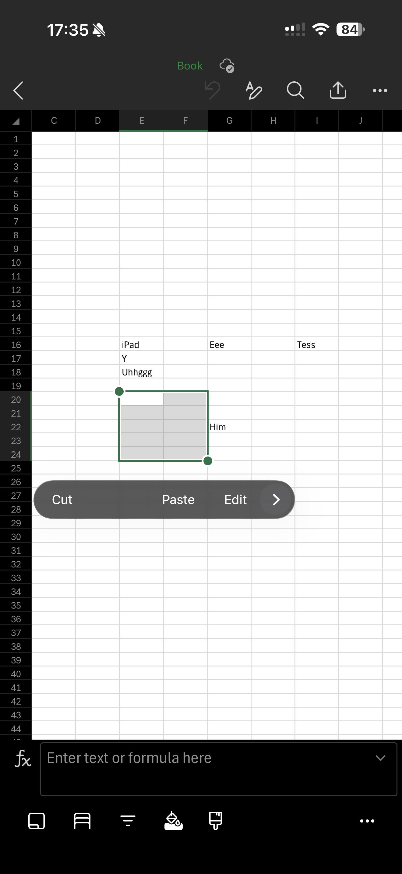 Excel copy button is invisible on iOS26 and iPadOS26 - Microsoft Q&A