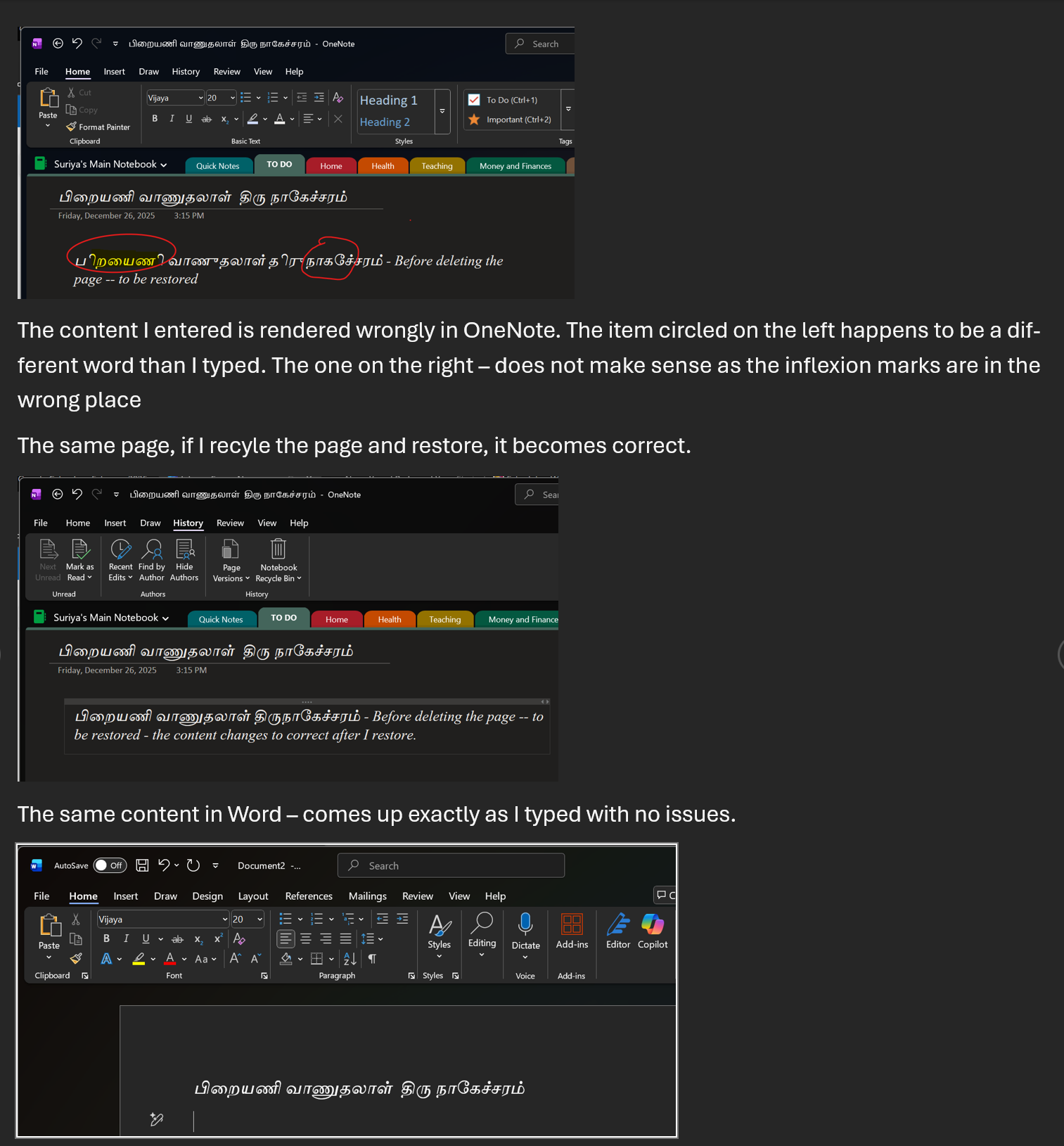 Non English keyboard, same font, rendering differently in Word and ...