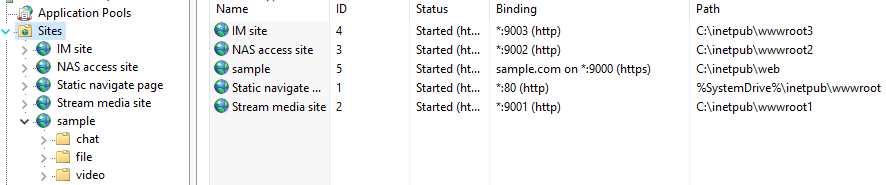 How to use different URLs to reserve proxy different website in IIS on local server? - Microsoft Q&A
