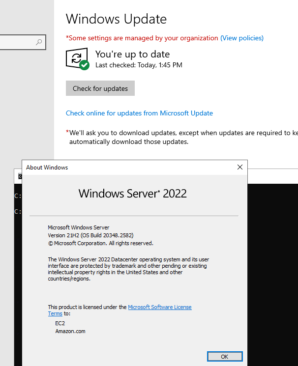 Assistance Needed for WSUS Configuration with Windows Server 2022 - Microsoft Q&A