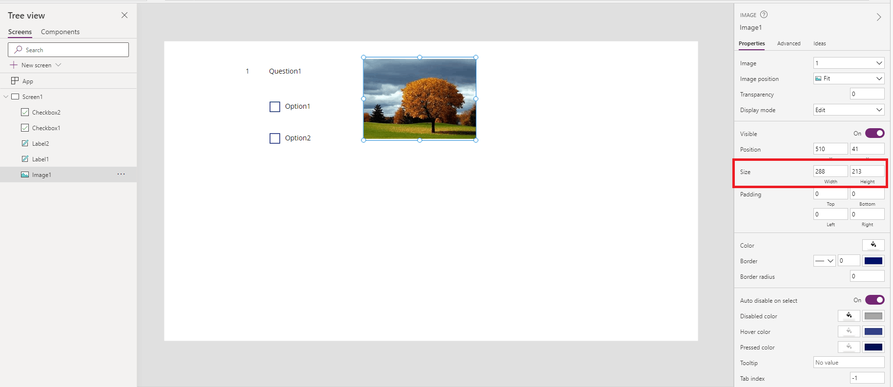What are the dimensions possible for inserting an image in MS forms ...