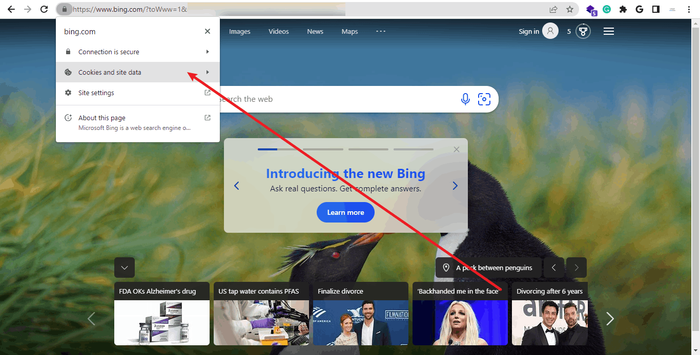 我已经设置ip地址为英国，不是中国的ip地址，打开bing.com, 还是会跳转到https://cn.bing.com/。请问怎么可以阻止 ...