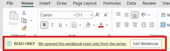 READ-ONLY We opened this workbook read-only from the server WARNING ...
