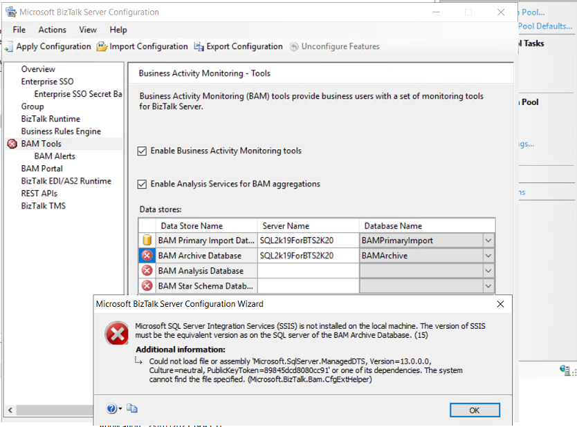 BTS 2020 - stuck on BAM configuration step - Microsoft Q&A