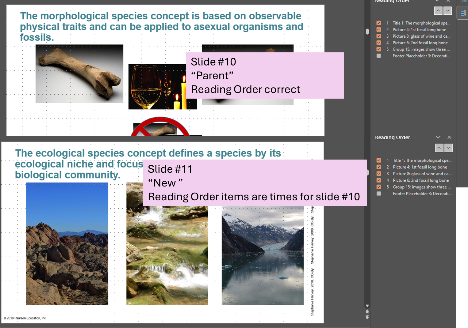 The items I see in the Reading Order Pane in PPT are not the correct ...