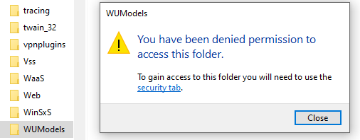 WUModels folder - Microsoft Q&A
