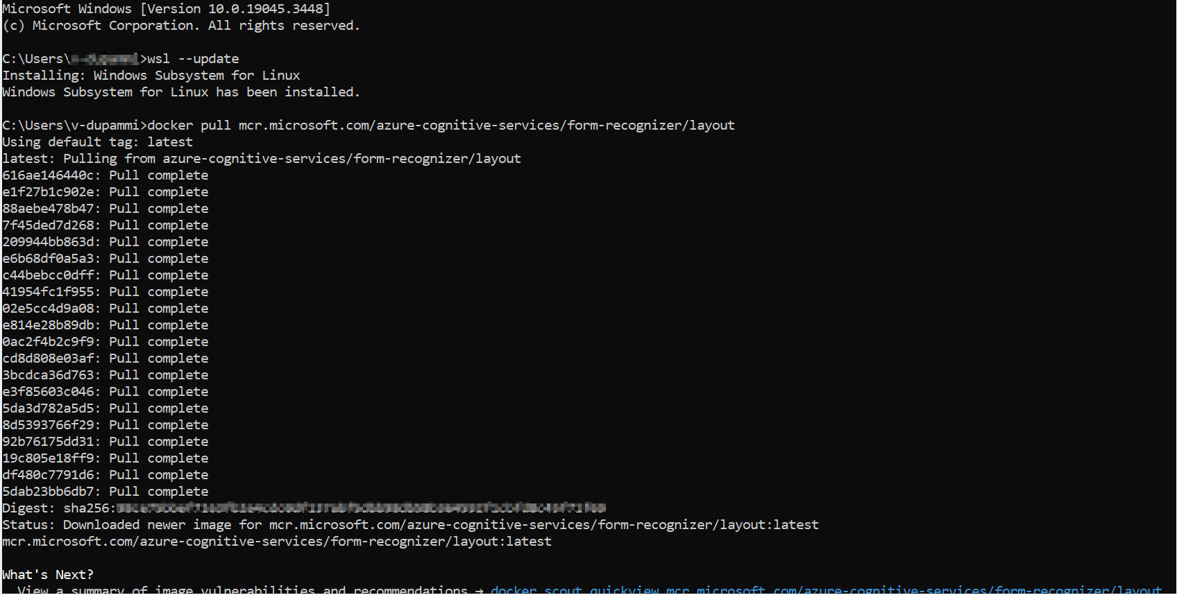 Not able to Start Document AI Container - Microsoft Q&A