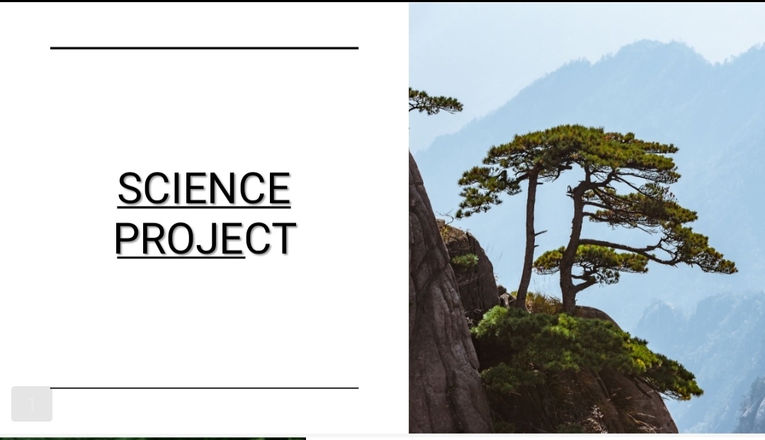 How to reduce line size in ppt? - Microsoft Q&A