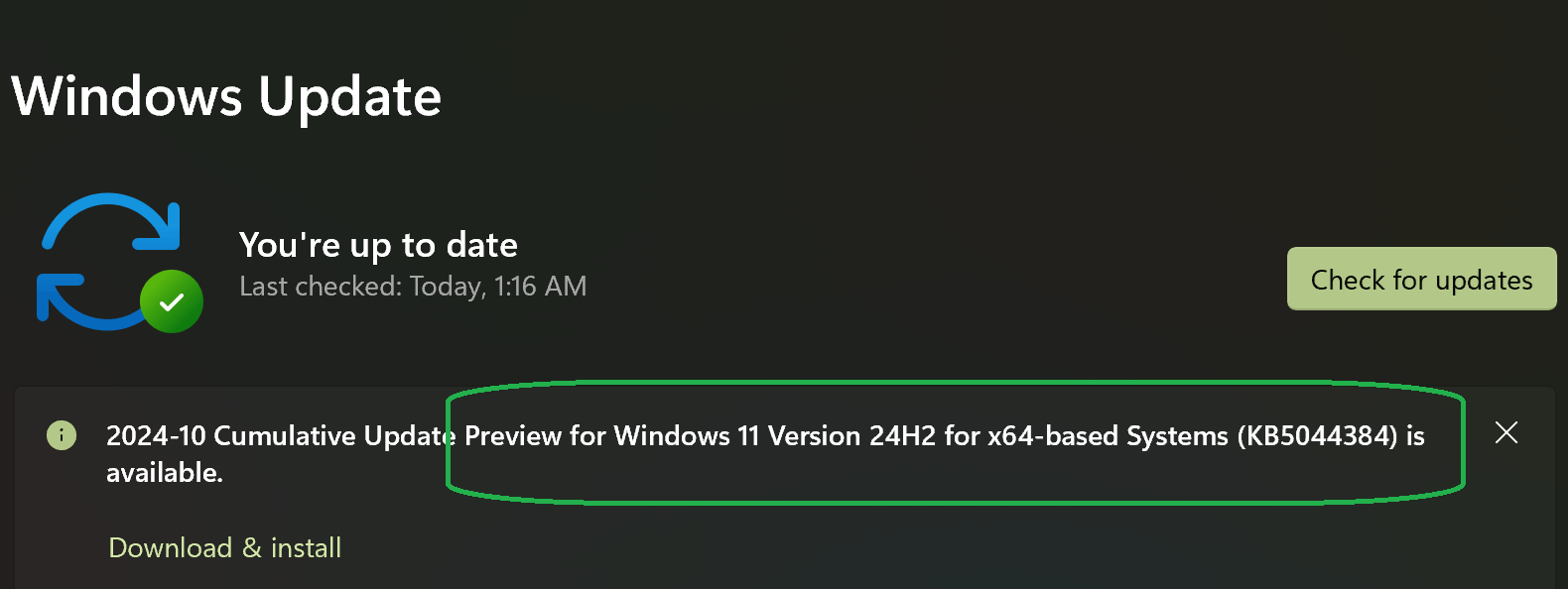NEW - Windows 11 24h2 - KB5044384 Update installation failed (I tried ...