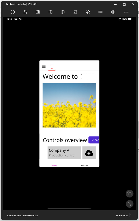 Why does my app show in a mobile phone resolution when deployed on a ...