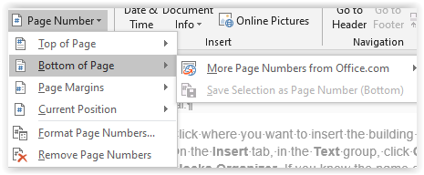 Lost All My Page Numbering Type & Format Selection Options - Just says ...