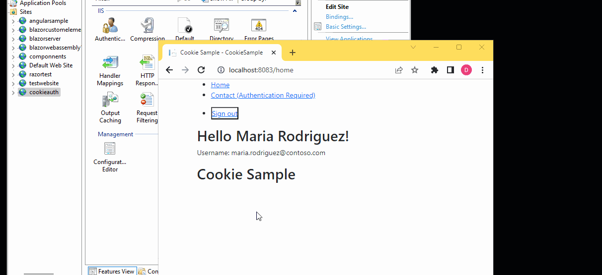 Have to re-login after I restart the iis web? - Microsoft Q&A