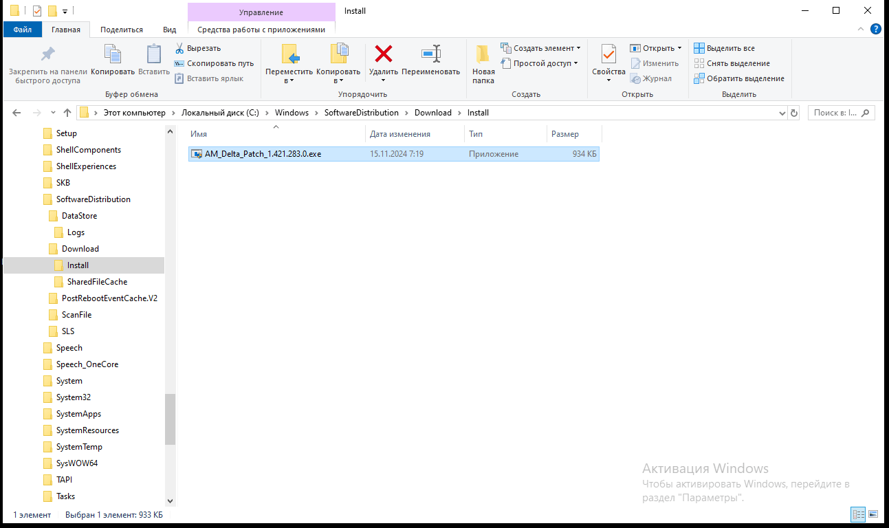 AM_Delta_Patch.exe uploading every 30 minutes and shuts down Windows ...