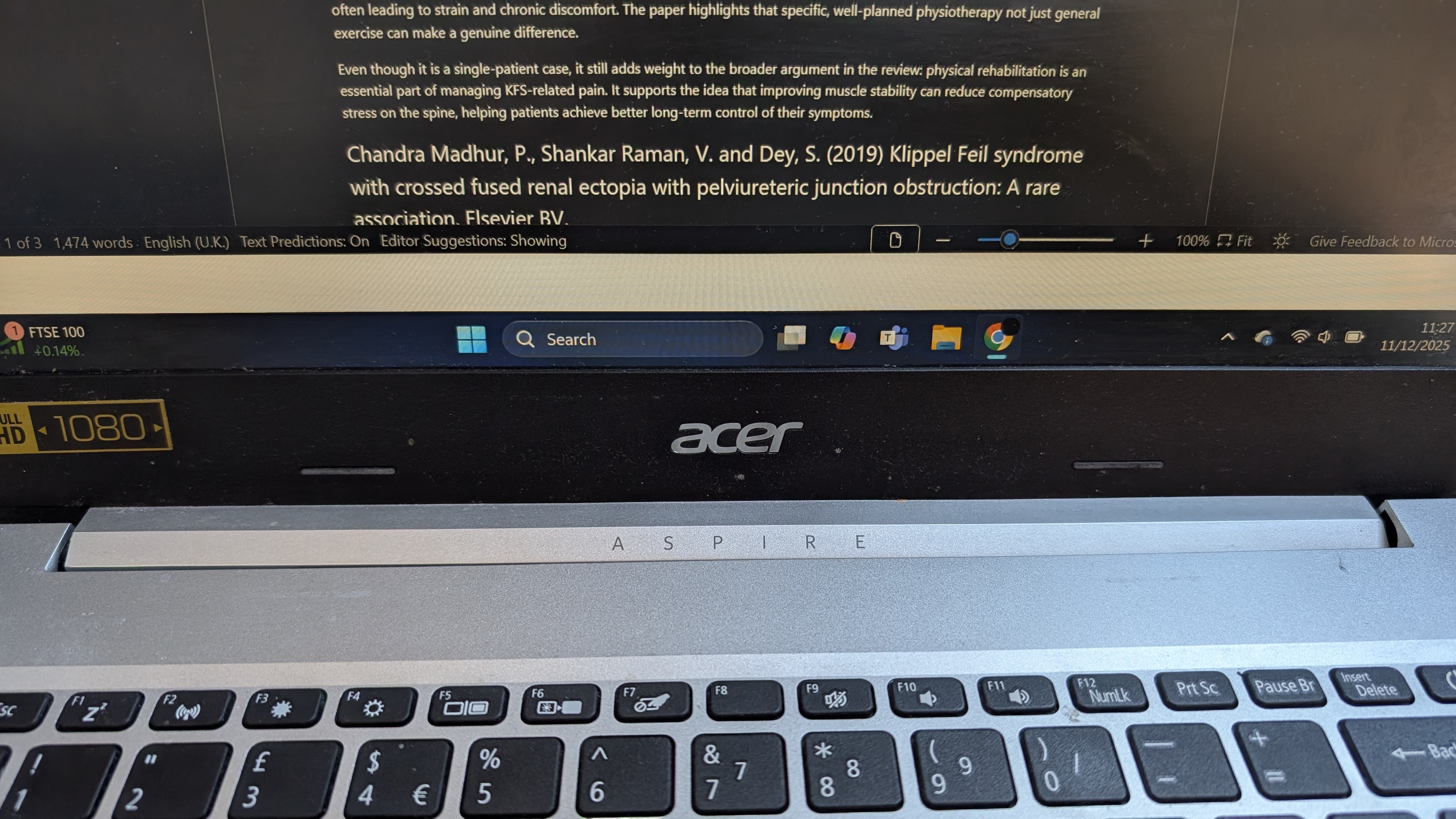 White bar at bottom of all word documents, under the word count bar ...