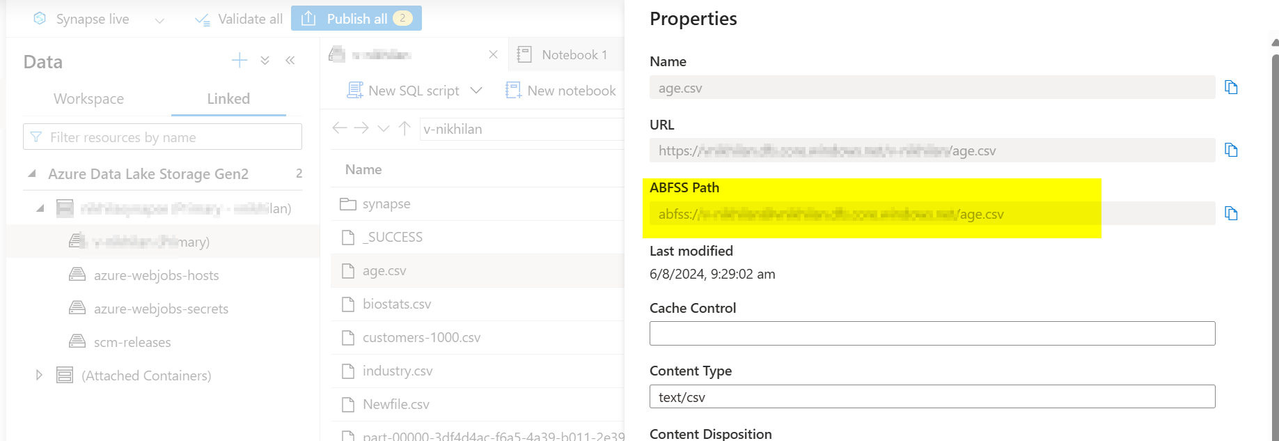 Blob storage path in syamose - Microsoft Q&A
